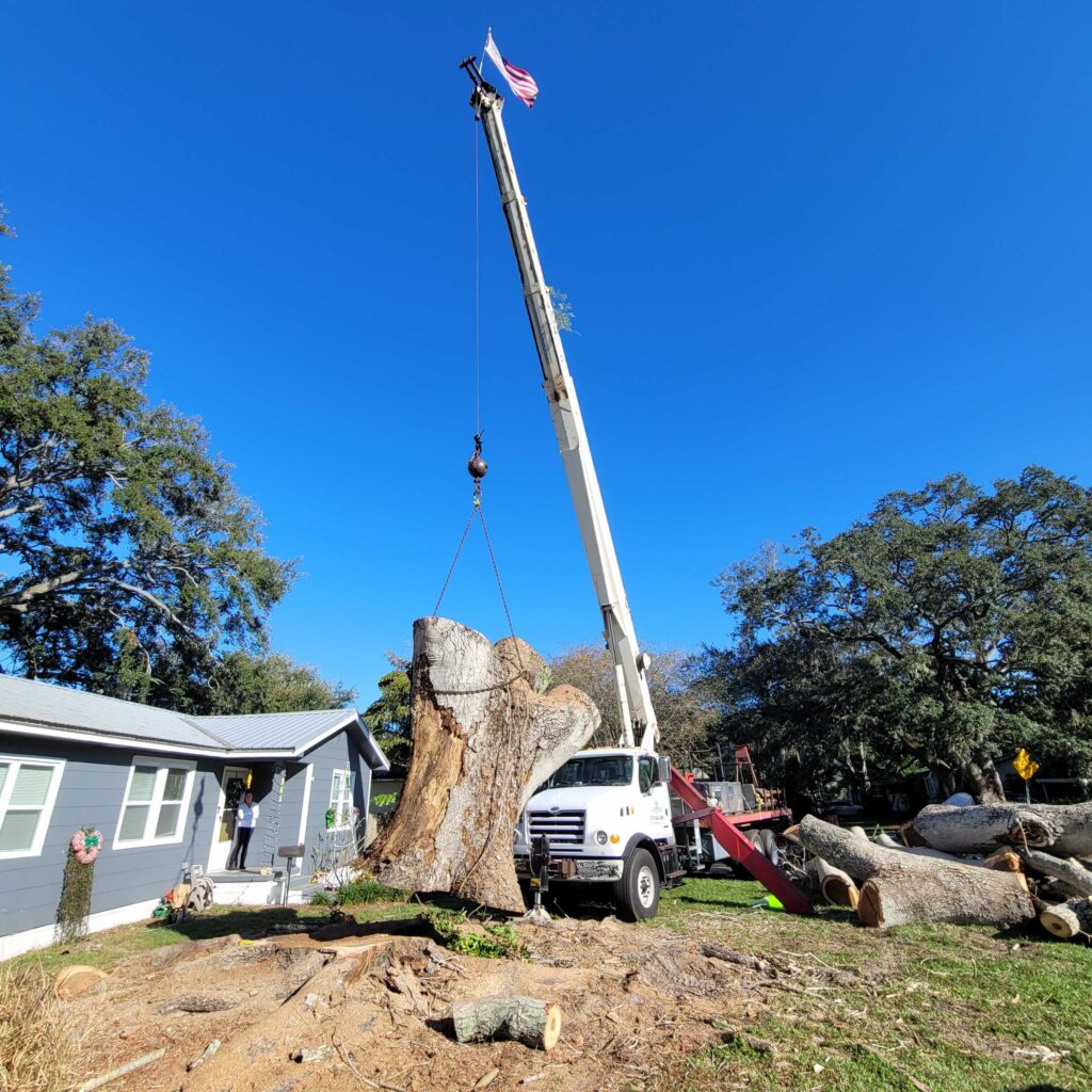 GBA Tree Service: Tree Removal & Trimming | ISA Arborists