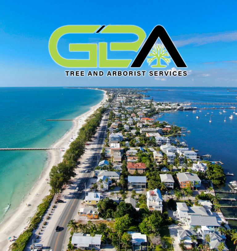 GBA Tree Service: Tree Removal & Trimming | ISA Arborists