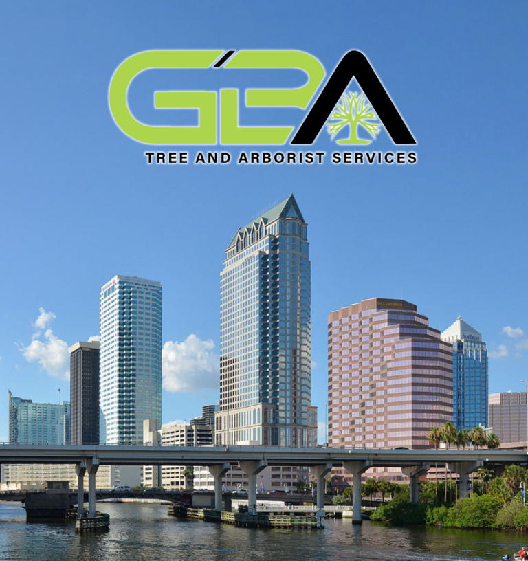 GBA Tree Service: Tree Removal & Trimming | ISA Arborists