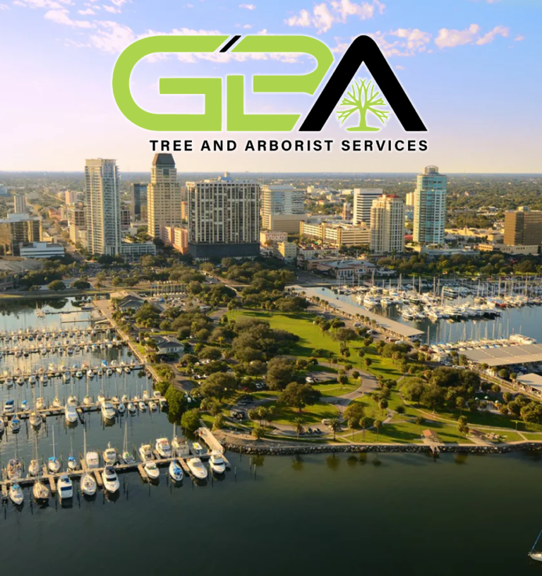 GBA Tree Service: Tree Removal & Trimming | ISA Arborists