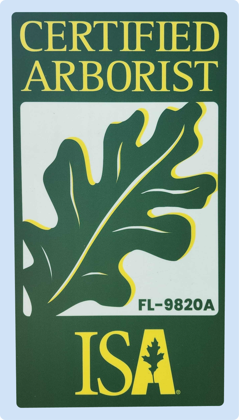 GBA Tree Service: Tree Removal & Trimming | ISA Arborists