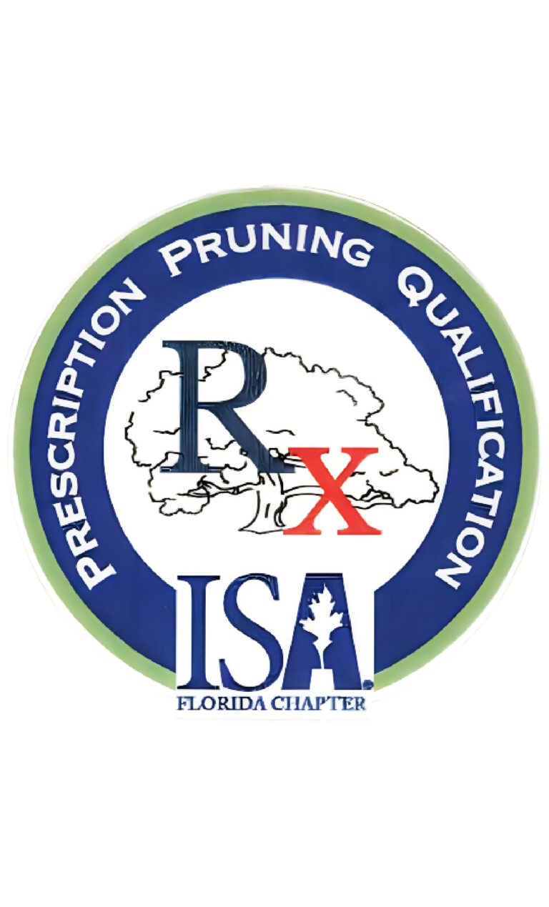 GBA Tree Service: Tree Removal & Trimming | ISA Arborists